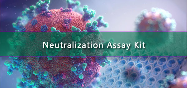 Assay Kits for SARS-CoV-2 Research